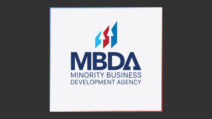 ACTING UNDER SECRETARY OF MINORITY BUSINESS DEVELOPMENT ERIC ...